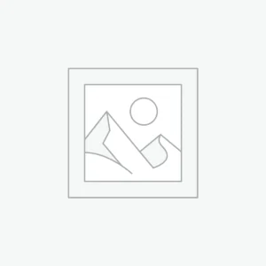 Expert digital marketing consultant in Dubai|Freelancer|Isha